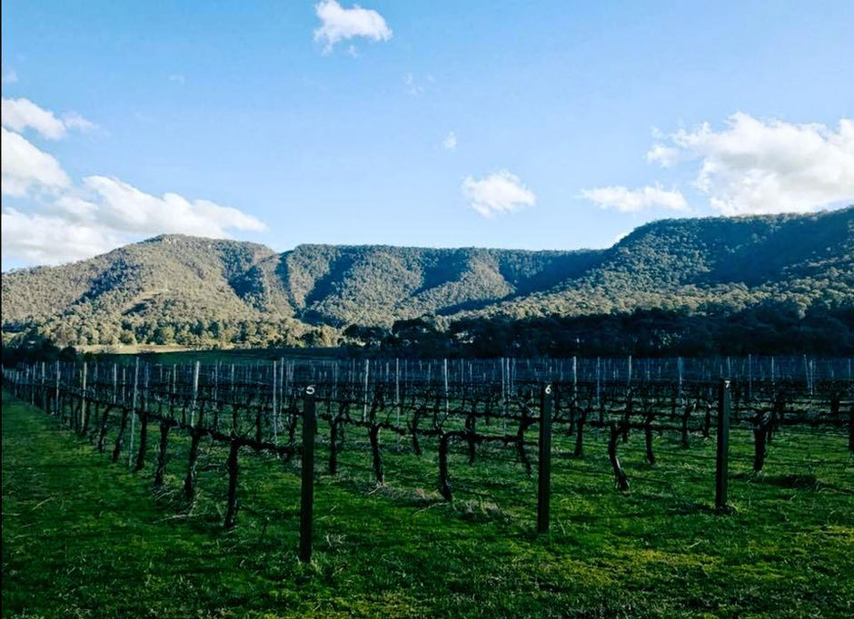 Contact | Francesco Wines | King Valley – Francesco Wines KV